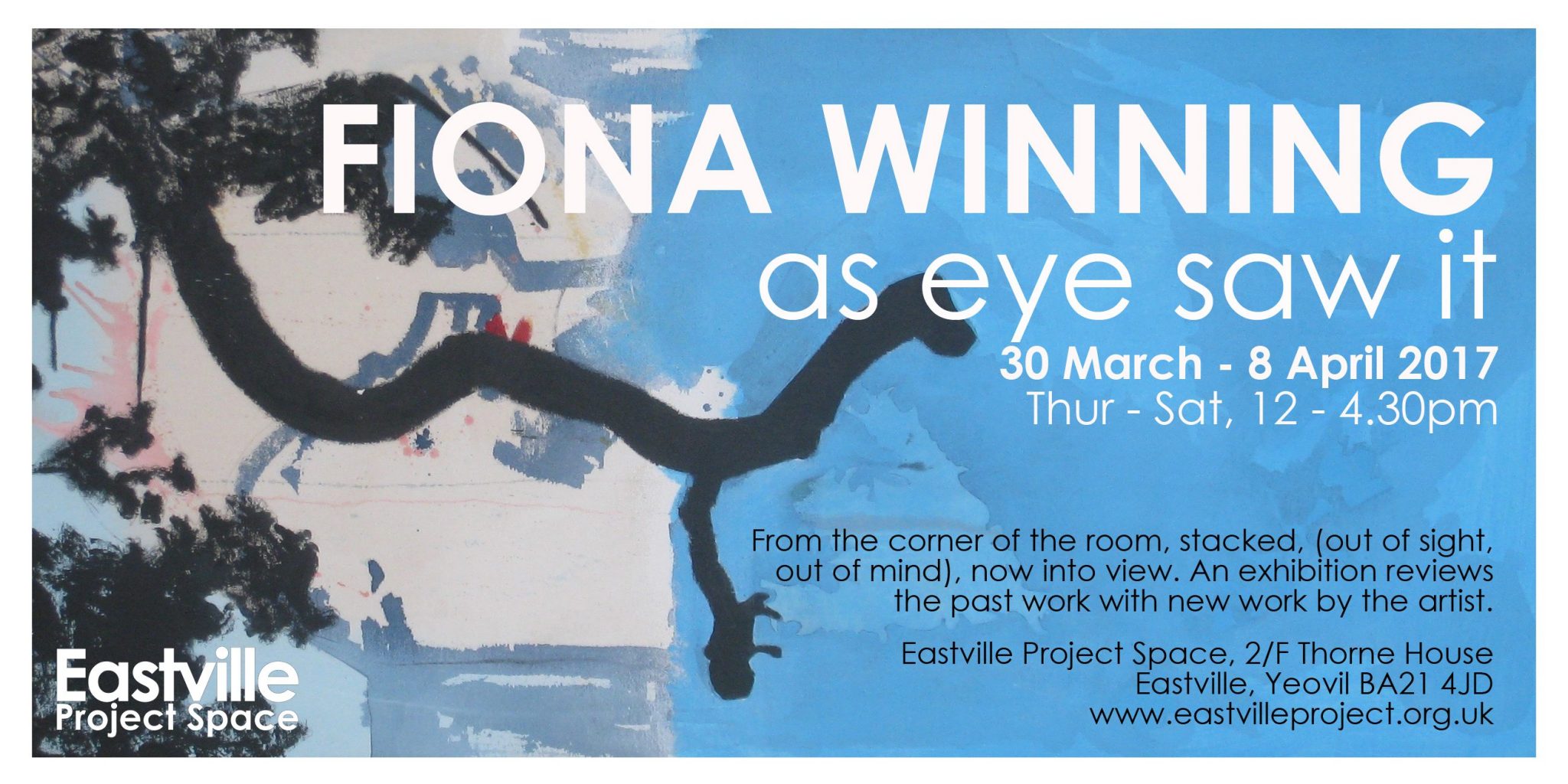 'as eye saw it' Exhibition by Fiona Winning - Eastville Project Space